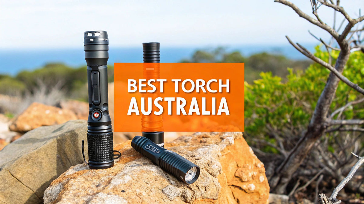 Finding the Best Torch Australia Has to Offer – The Merchants Australia