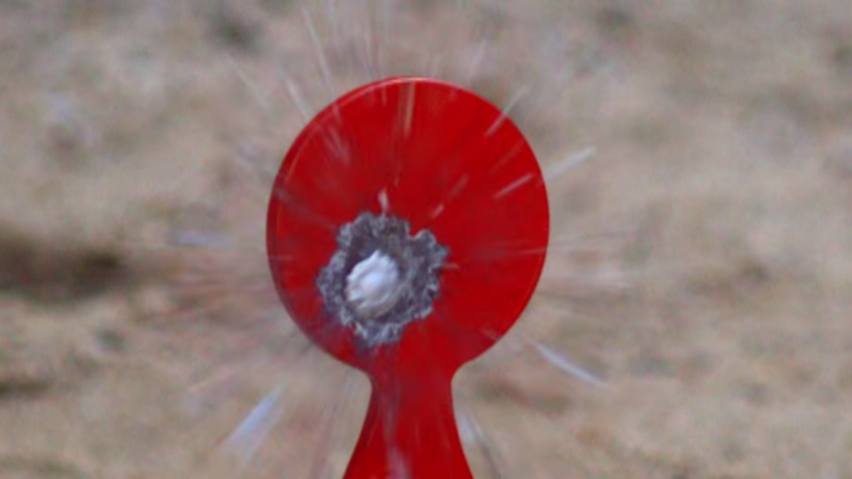 Flip Shooting Target for Rifles or Handguns Target Xtreme 1200 .22 Lr ...